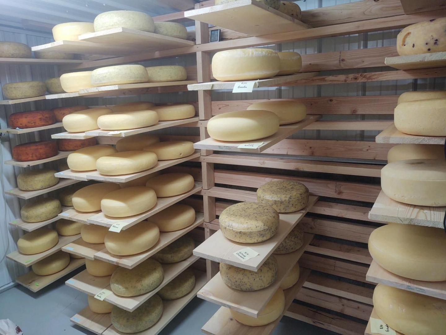 Our Cheese | Local Cheese Makers in Buhl, ID | Caerphilly Cheese ...